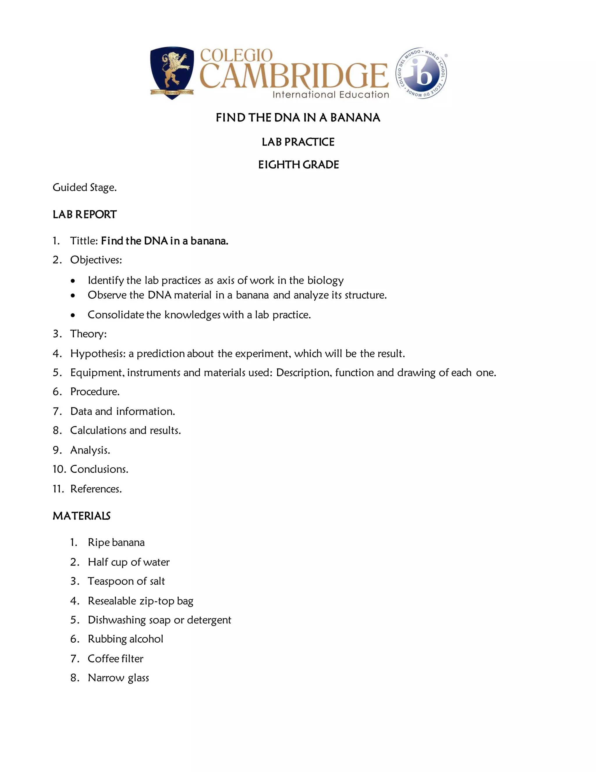Dna from a banana lab report | PDF
