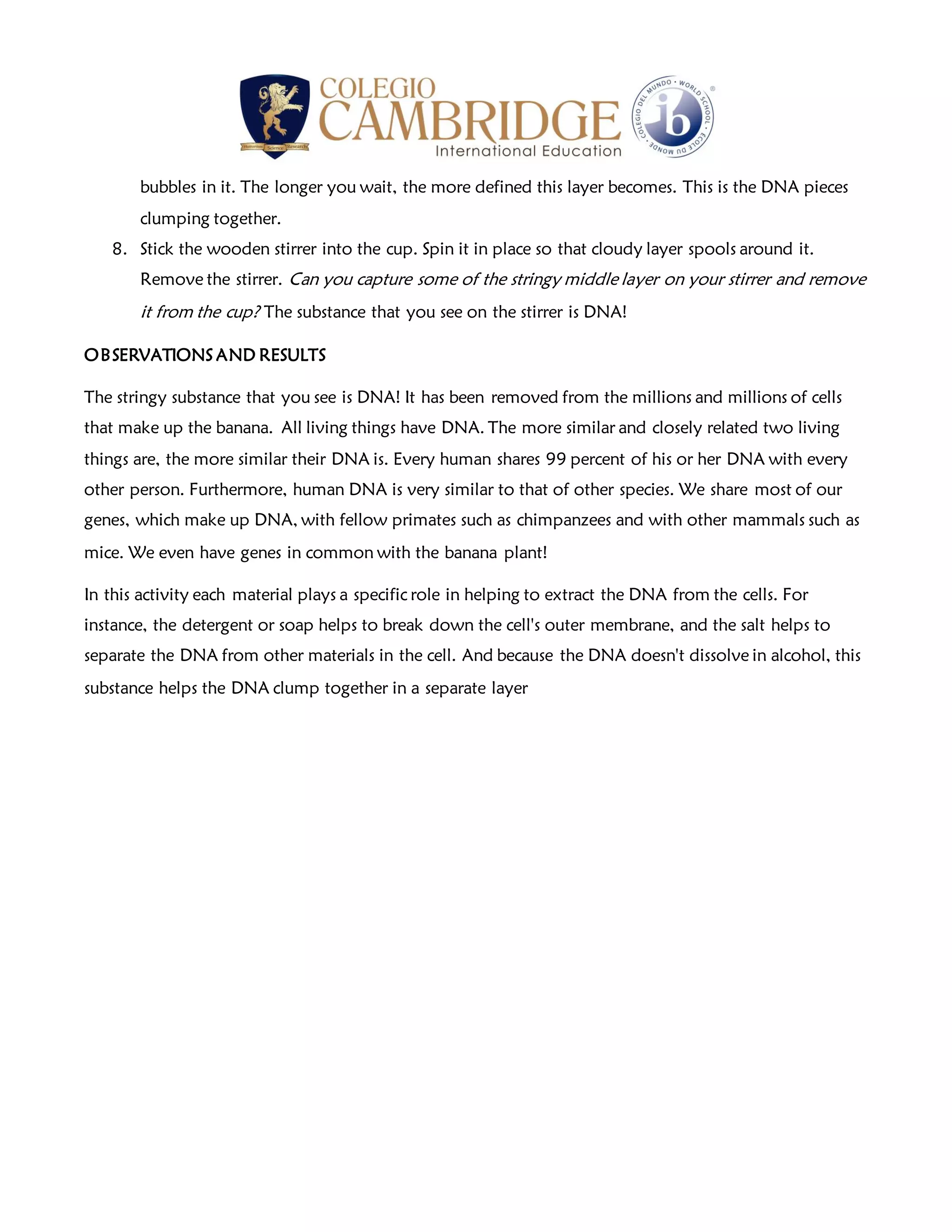 Dna from a banana lab report | PDF