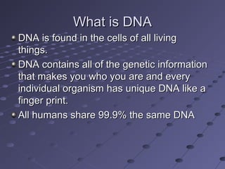DNA Function and Structure Notes | PPT