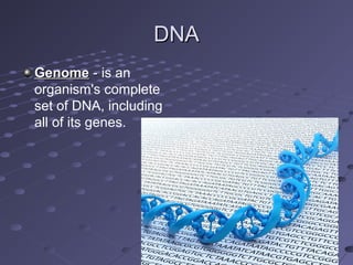 DNA Function and Structure Notes | PPT
