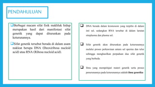 DNA, Gen dan Kromosom | PPTX