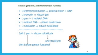 DNA, Gen dan Kromosom | PPTX