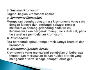 Dna, gen, dan kromosom | PDF