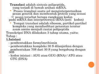 seally yohana DNA_GEN_DAN_SINTESIS_PROTEIN.ppt