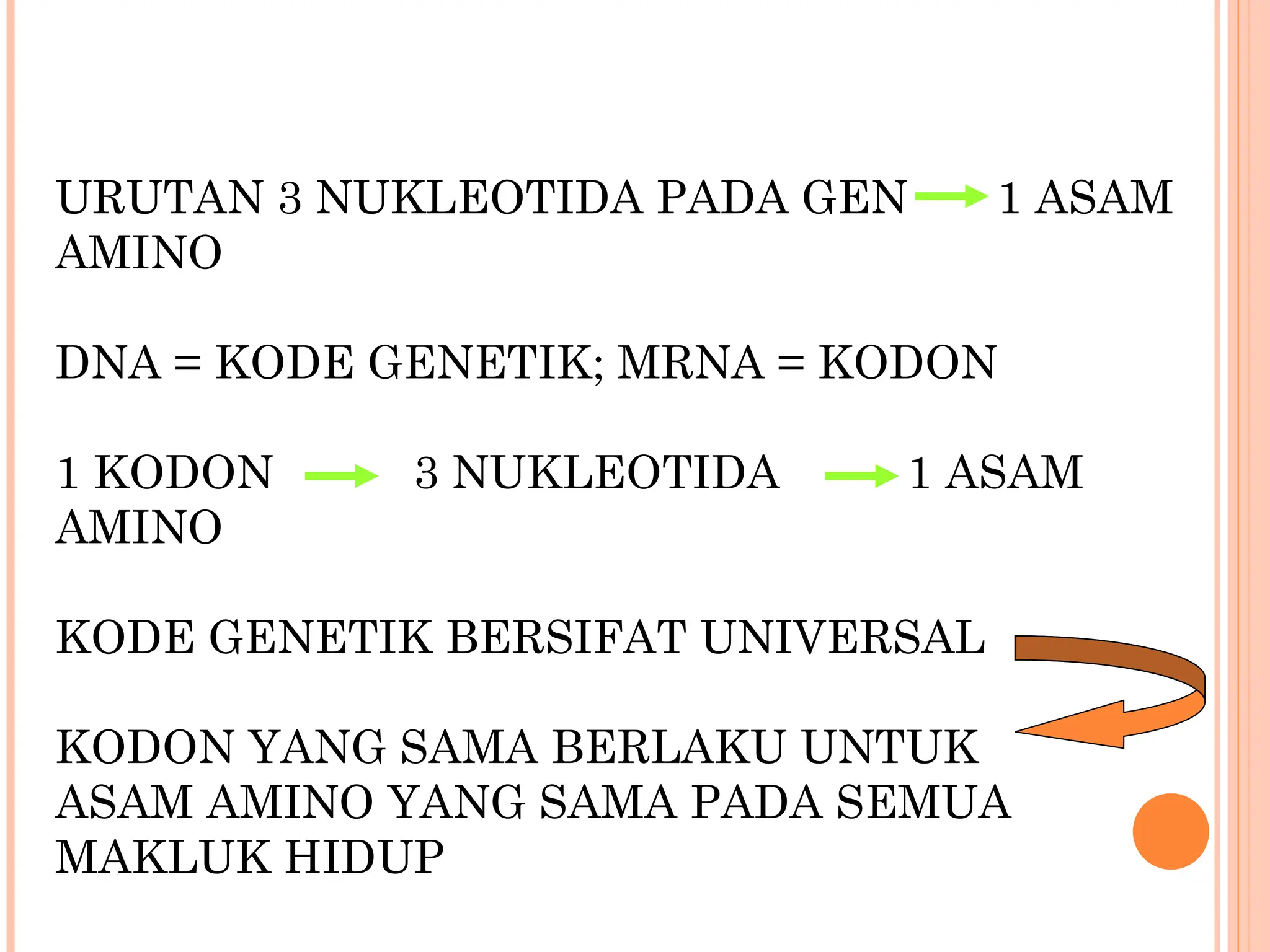 DNA_GEN_DAN_SINTESIS_PROTEIN [Autosaved].ppt