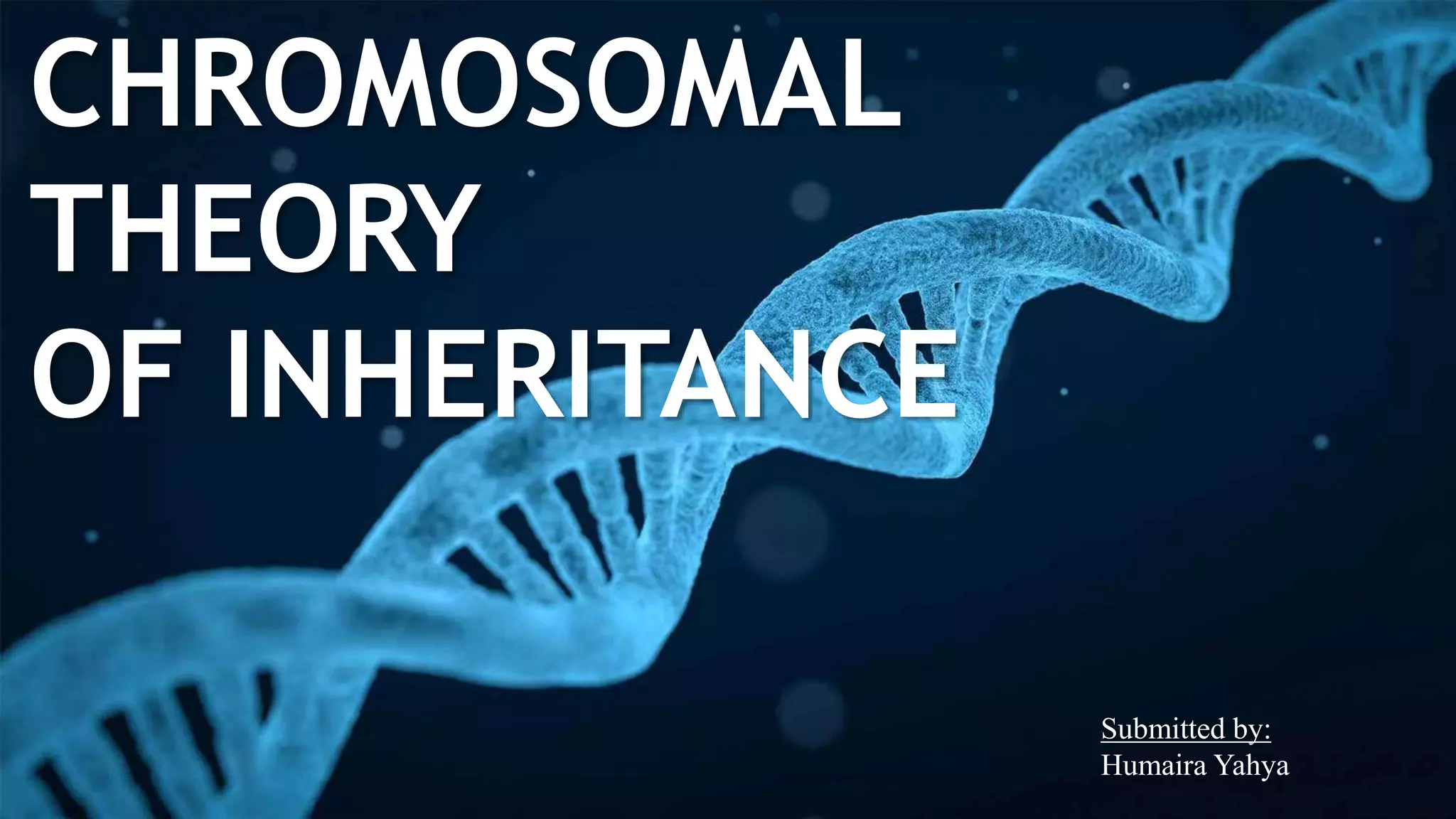 Chromosomal Theory Of Inheritance Pptx