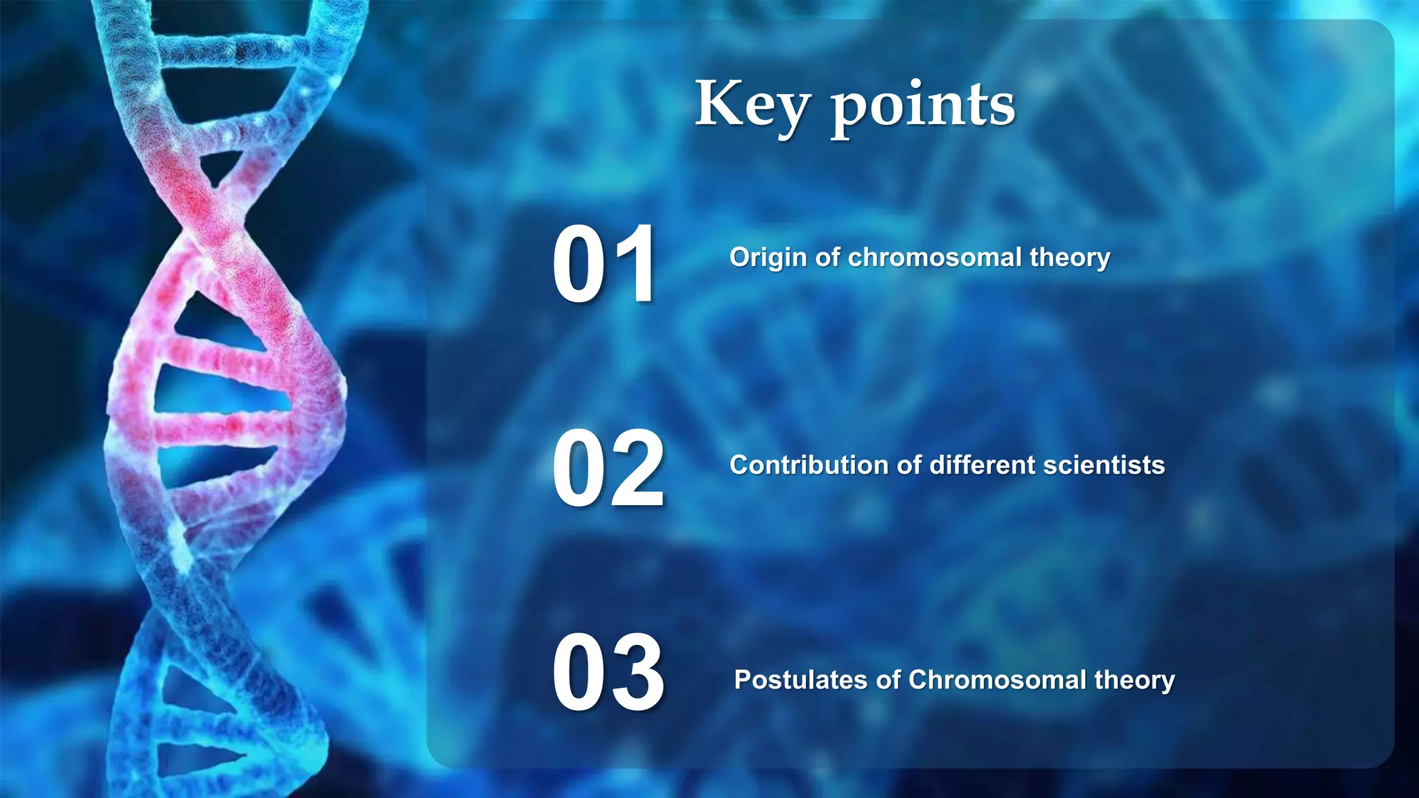 CHROMOSOMAL THEORY OF INHERITANCE | PPTX