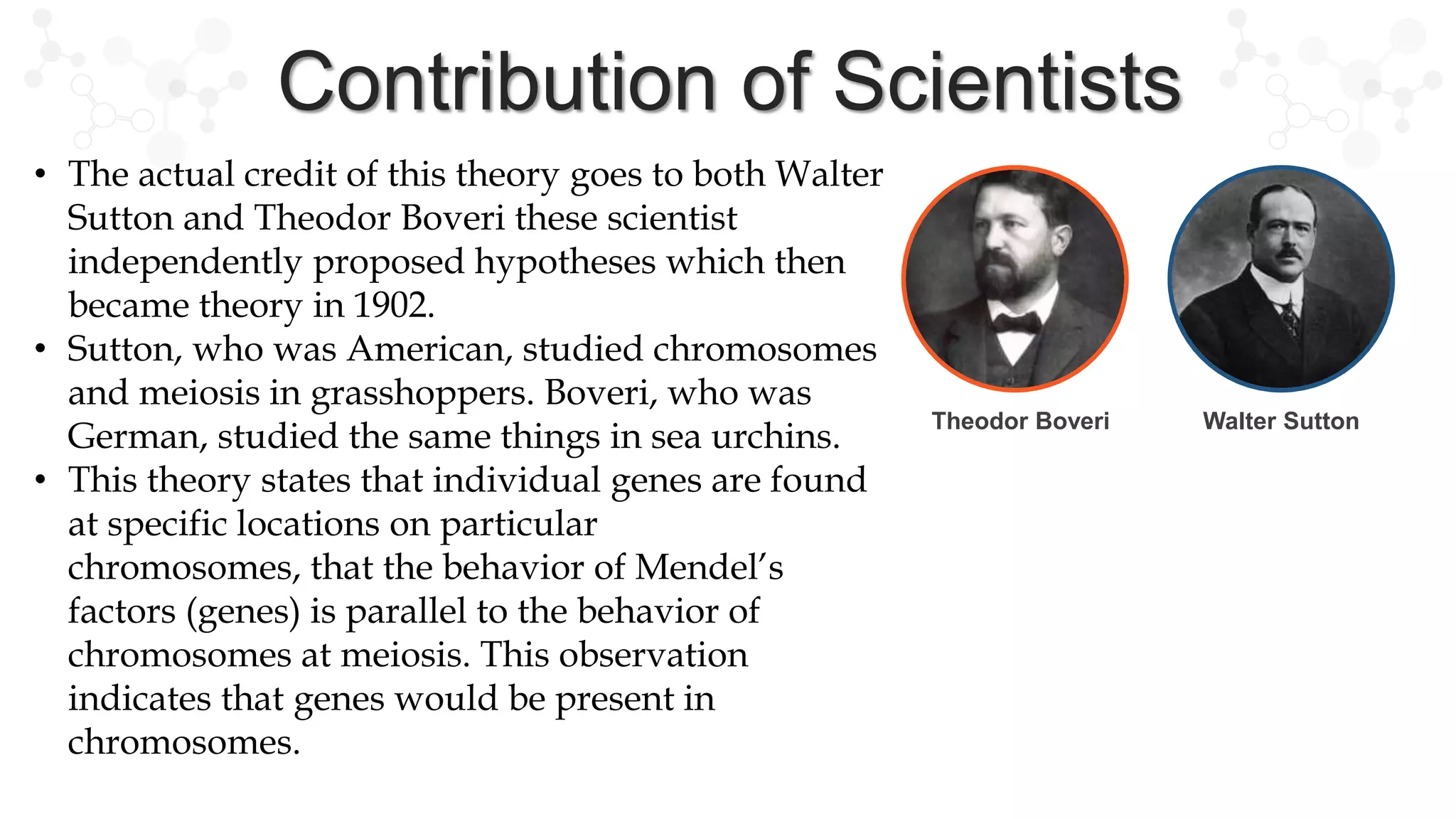 Chromosomal Theory Of Inheritance Pptx