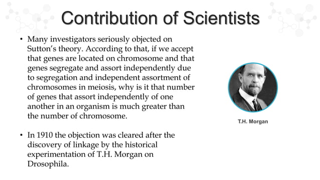 Chromosomal Theory Of Inheritance Pptx