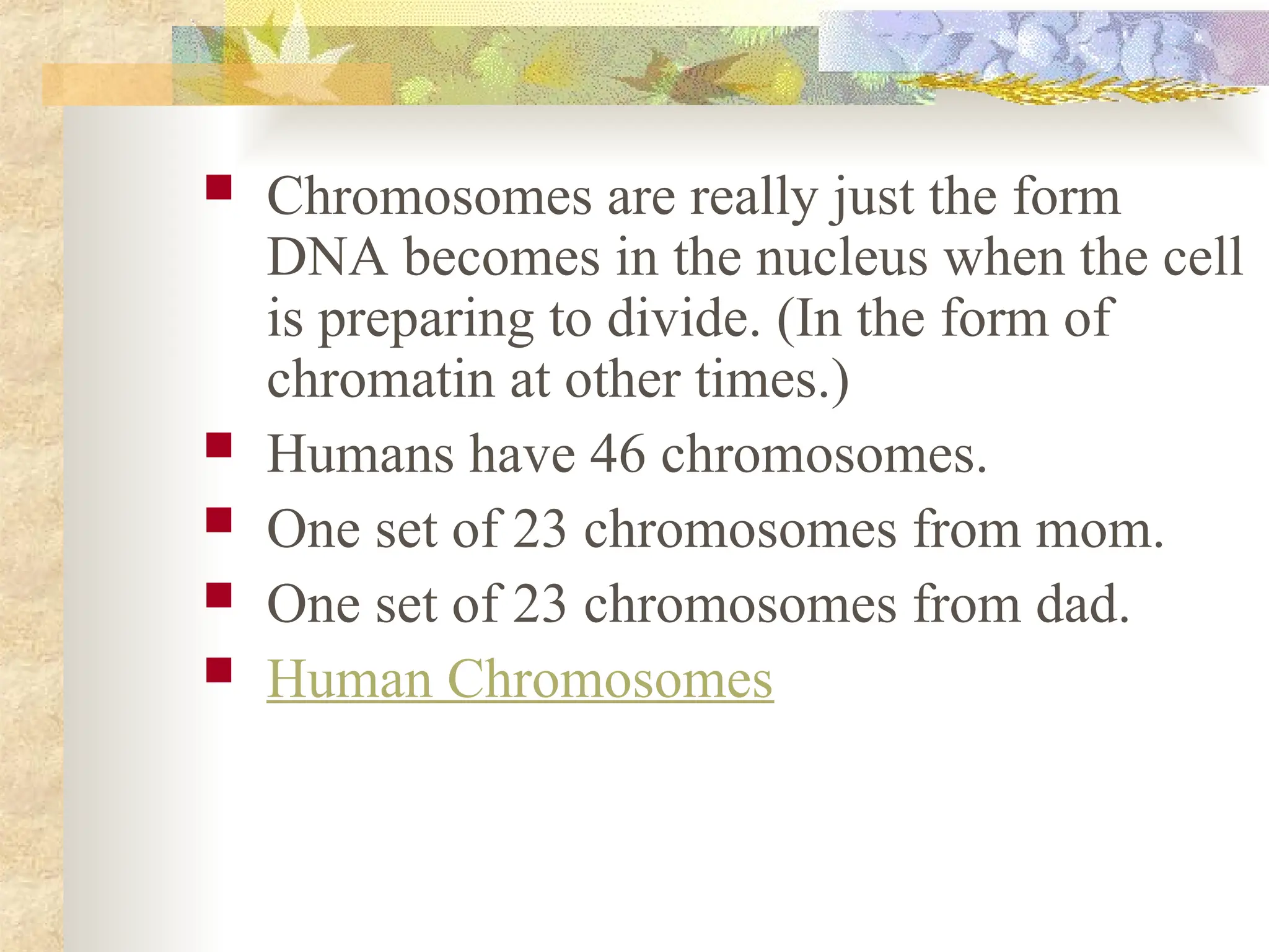 DNA, Genes, and Chromosomes. How important it is. | PPT
