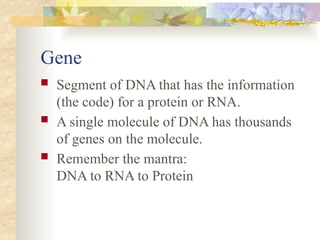 DNA, Genes, and Chromosomessssssssssssssss | PPT