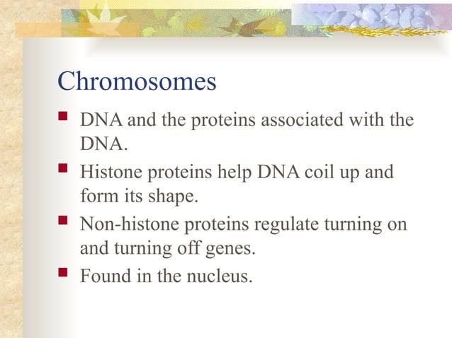 DNA, Genes, and Chromosomessssssssssssssss | PPT