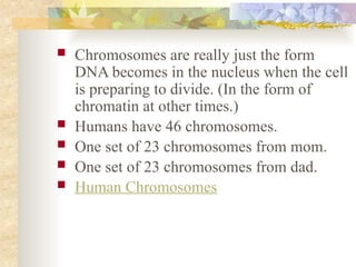 DNA, Genes, and Chromosomessssssssssssssss | PPTX