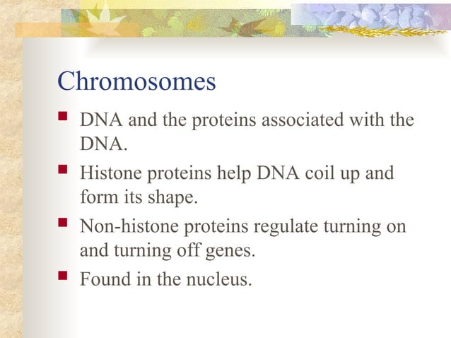 DNA, Genes, and Chromosomes Part 1 - Biology | PPT
