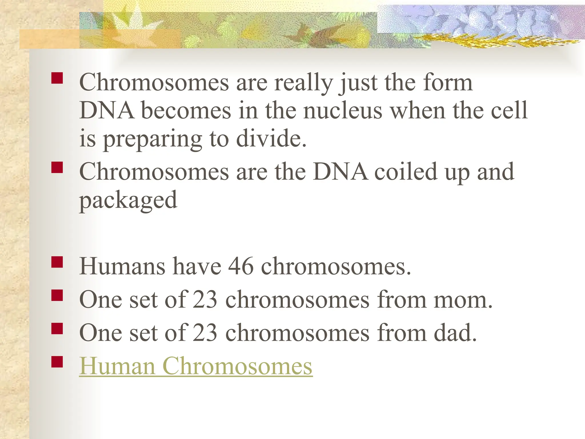 DNA, Genes, and Chromosomes Version 2 Edited | PPTX