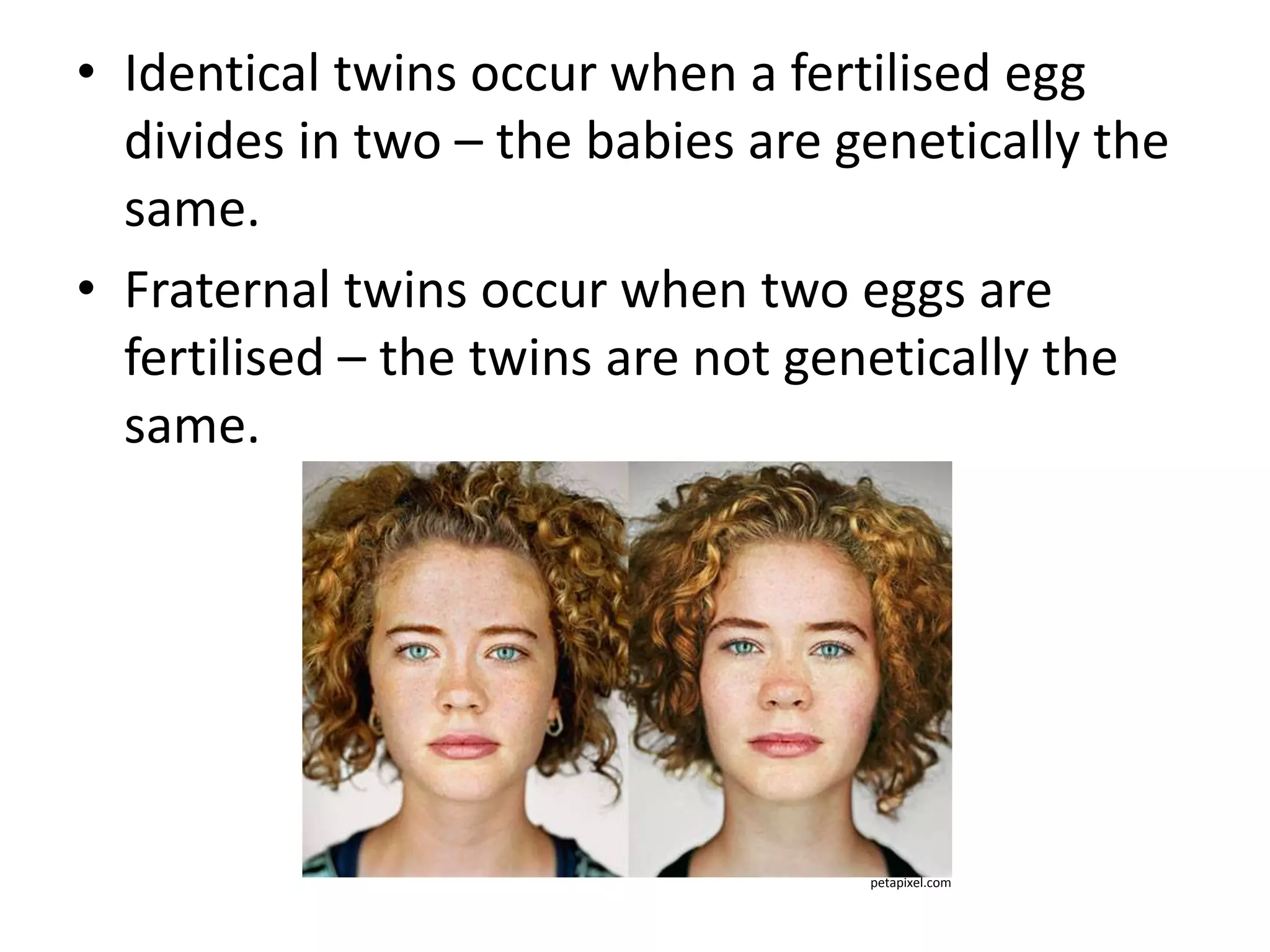 DNA, Genes and the Continuity of Life | PPTX