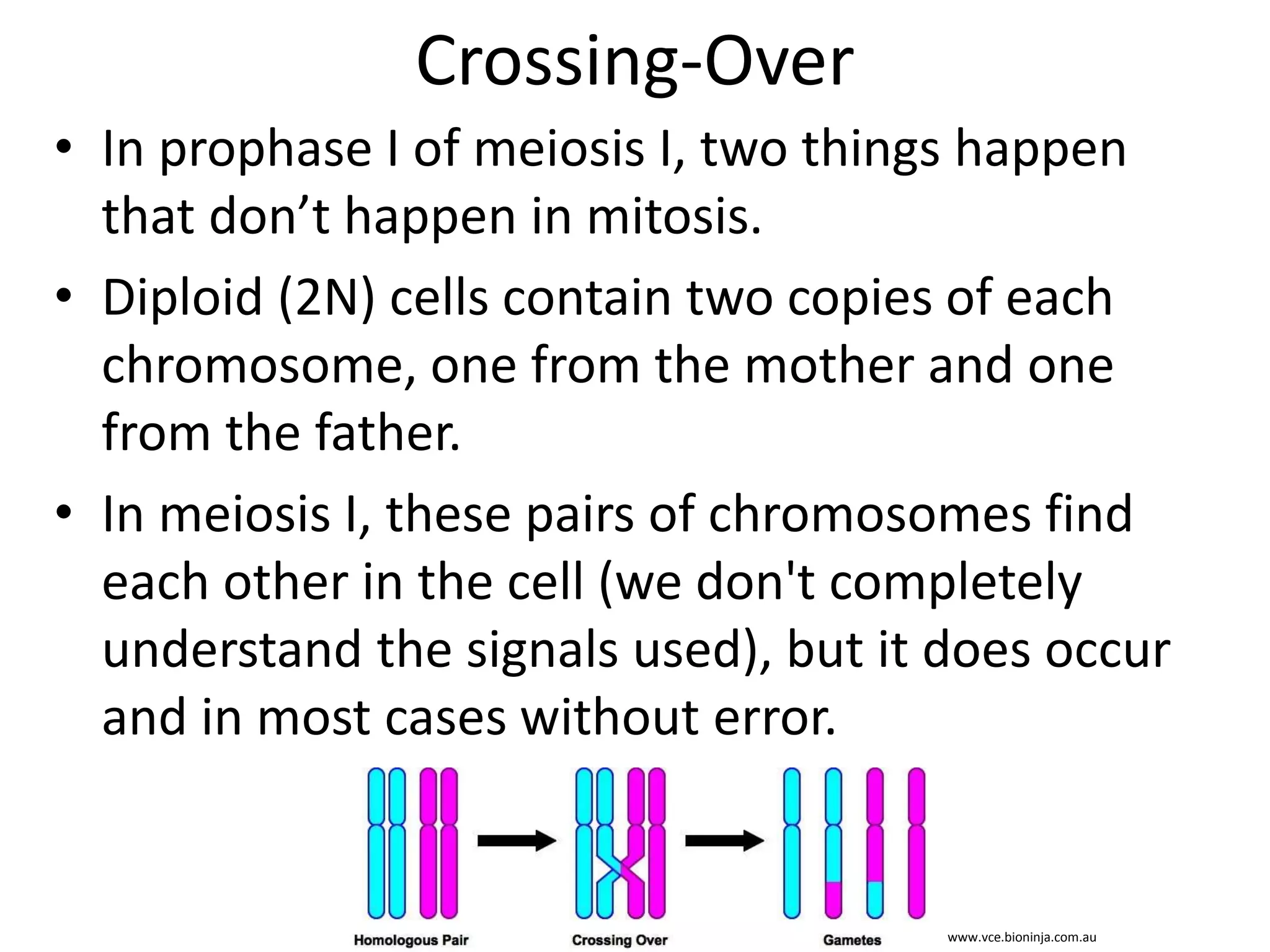 DNA, Genes and the Continuity of Life | PPTX