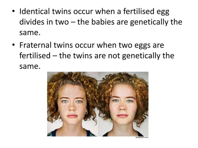 DNA, Genes and the Continuity of Life | PPTX