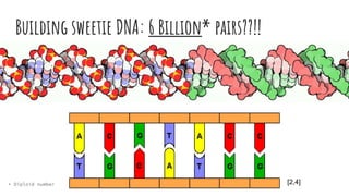 DNA & Genes KS2 | PPTX