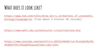 DNA & Genes KS2 | PPTX