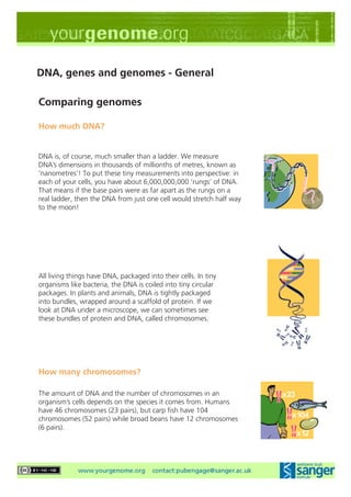 Dna Genes Y Genomas | PDF