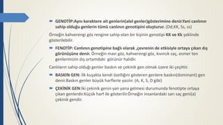 Dna ve Genetik Kod | PPTX