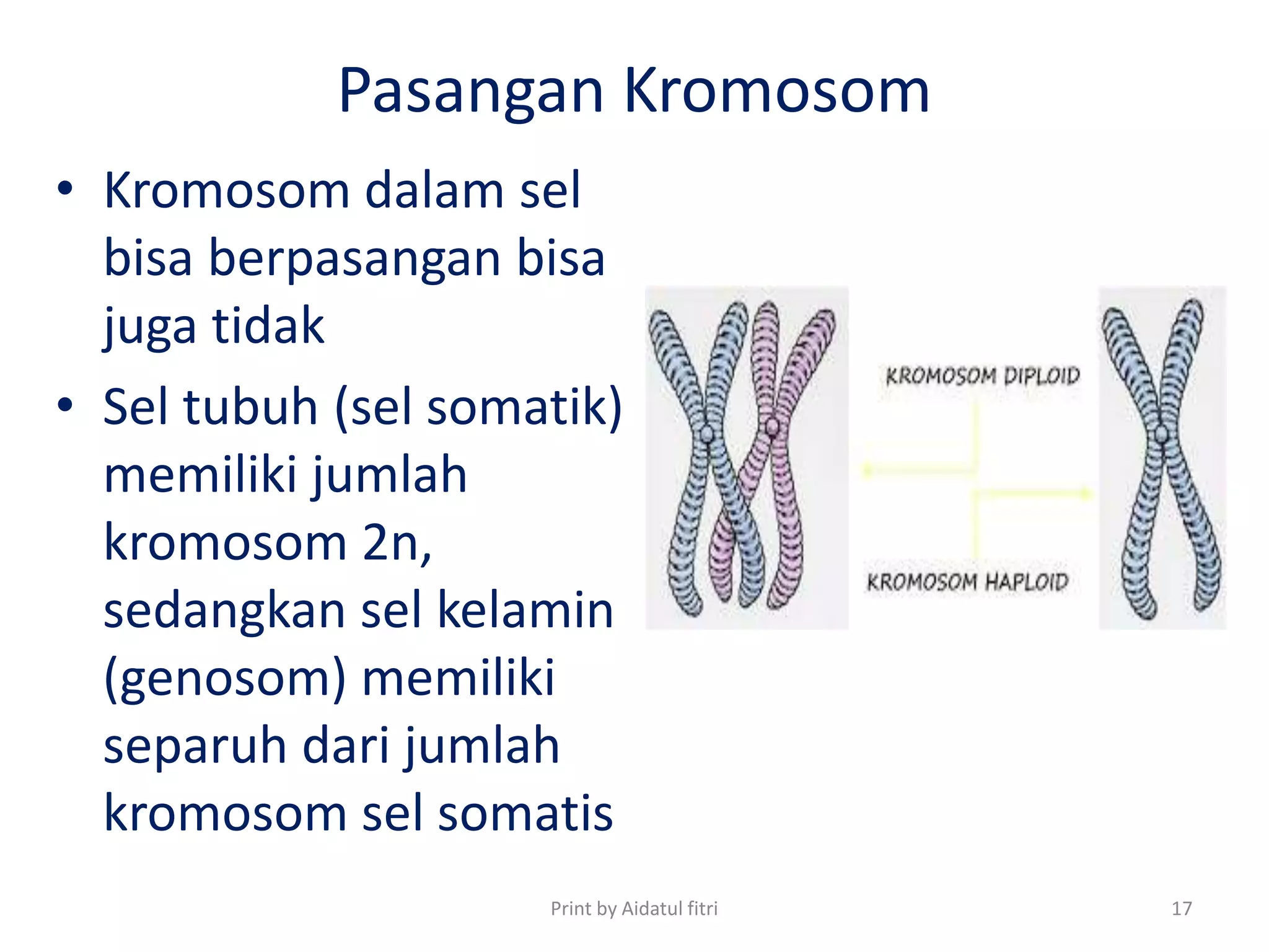 Dna, gen, dan kromosom | PPTX