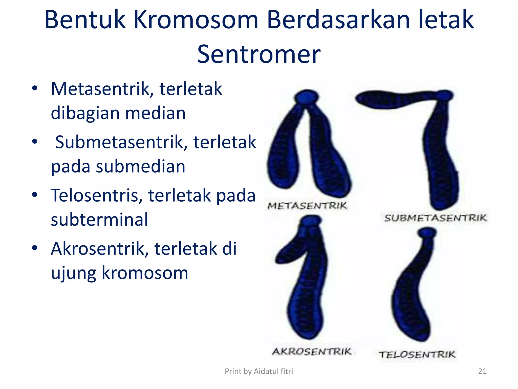 Dna, gen, dan kromosom | PPTX