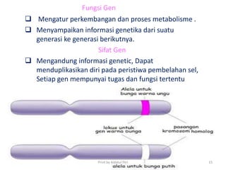 Dna, gen, dan kromosom | PPTX