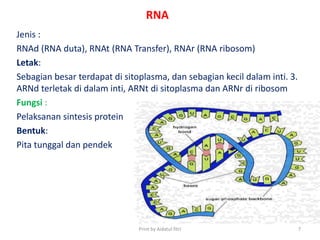 Dna, gen, dan kromosom | PPTX