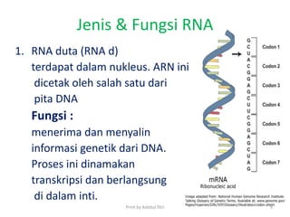 Dna, gen, dan kromosom | PPTX