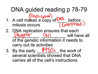Dna Guided Reading Pd1 | PPT