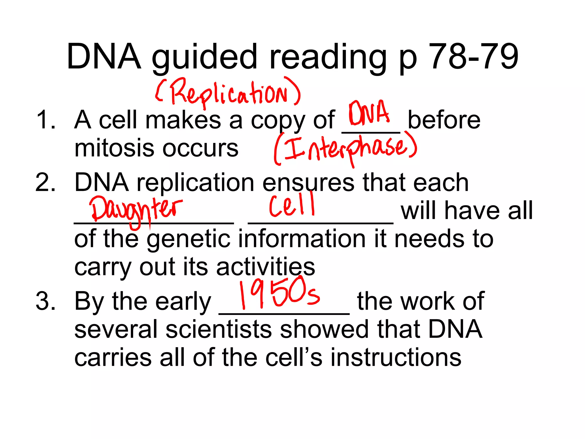 Dna Guided Reading Pd7 | PPT | Chemistry | Science