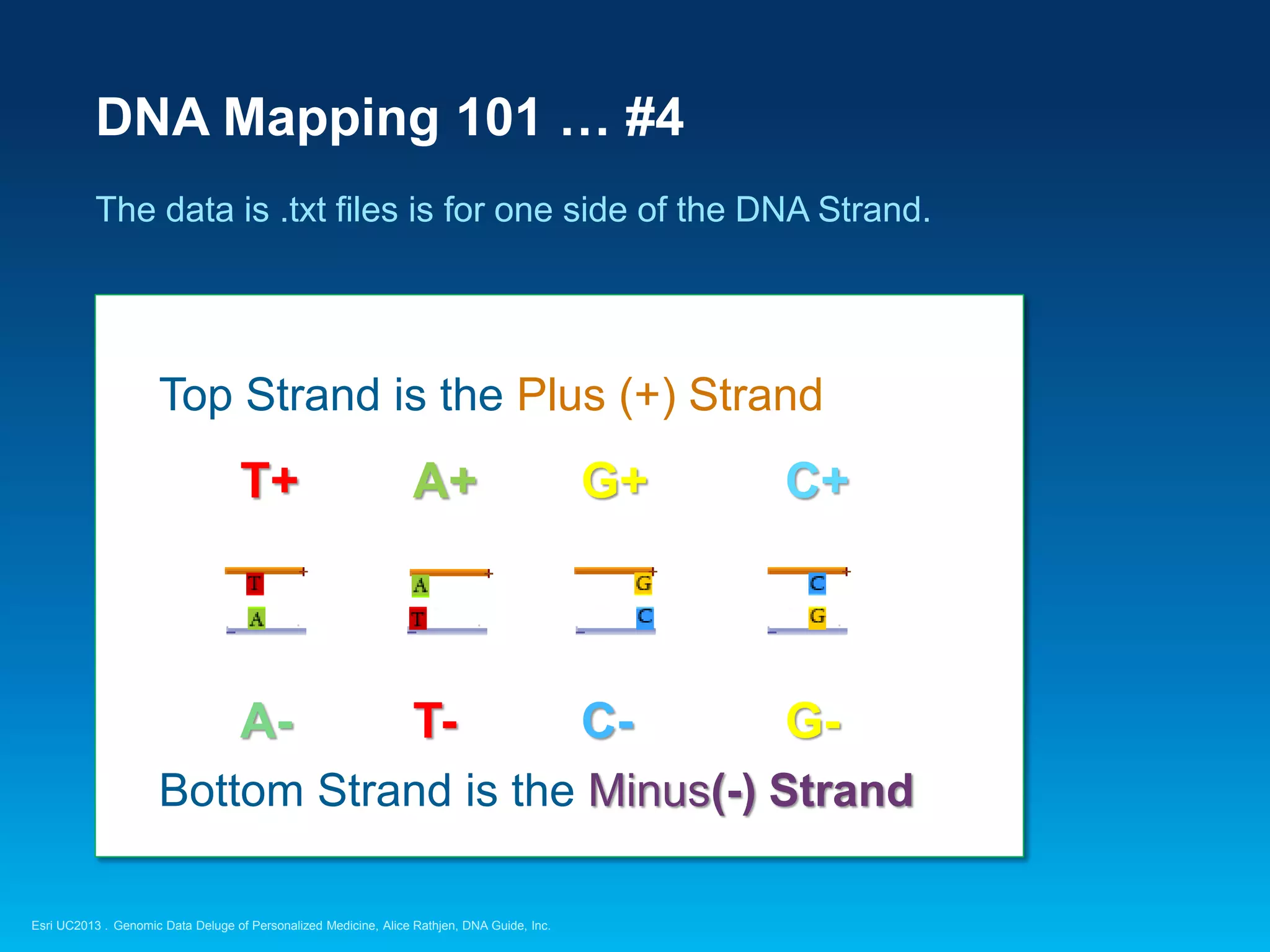 DNA Guide - Tech Summary Mapping Genomes w GIS | PPT