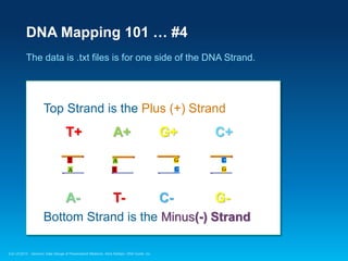 DNA Guide - Tech Summary Mapping Genomes w GIS | PPT