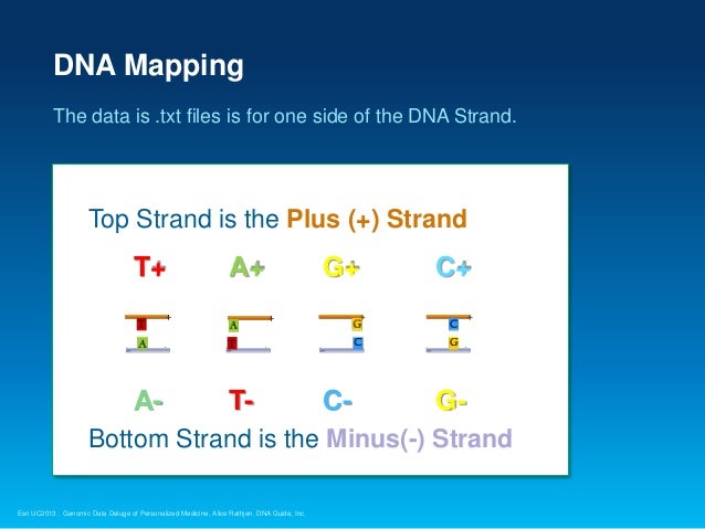 DNA Guide - Tech Summary Mapping Genomes w GIS