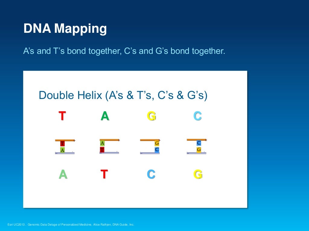 DNA Guide - Tech Summary Mapping Genomes w GIS