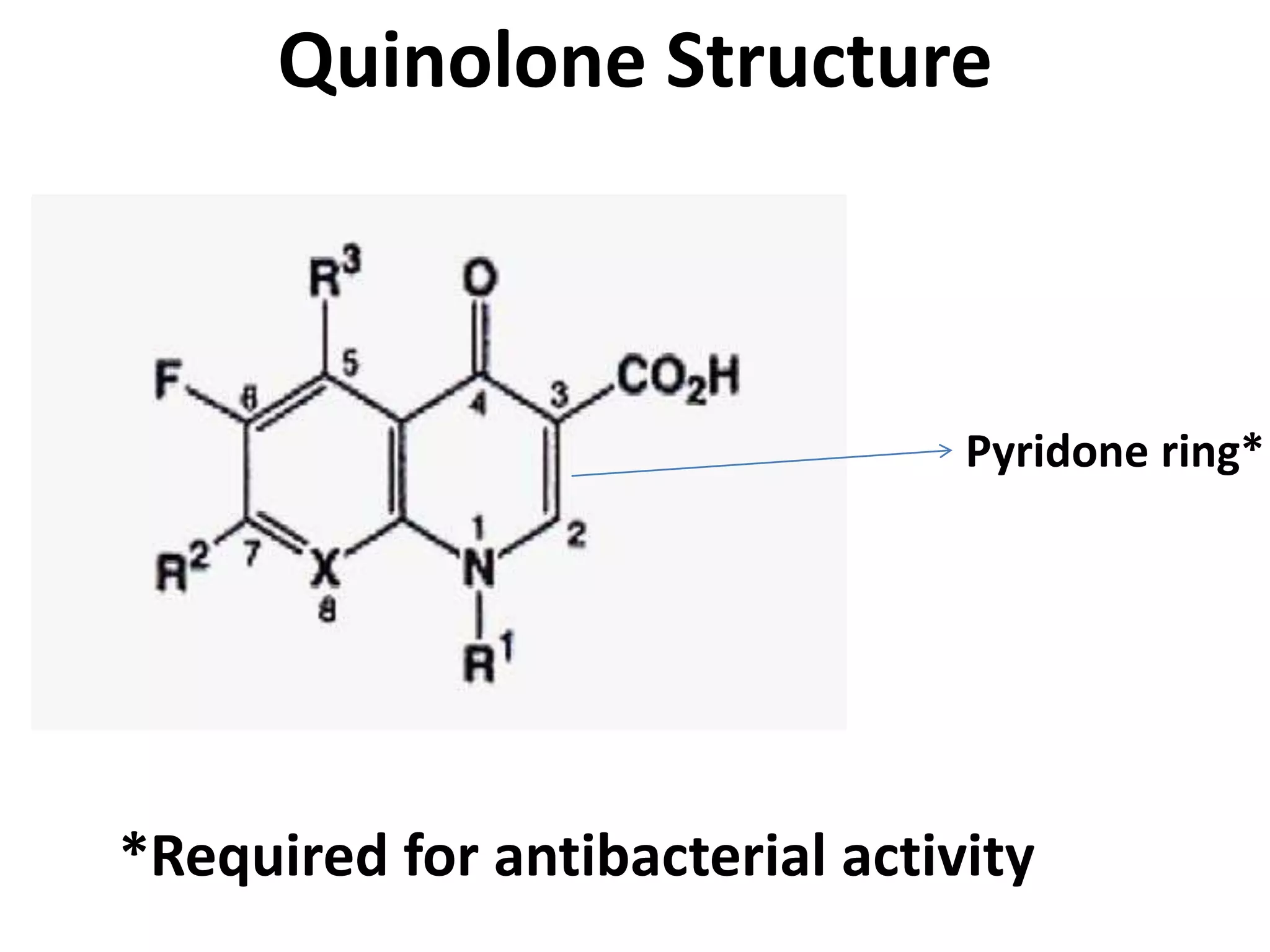 DNA Gyrase Inhibitors -quinolones and Fluoroquinolones.pptx