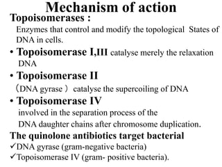 DNA Gyrase Inhibitors -quinolones and Fluoroquinolones.pptx