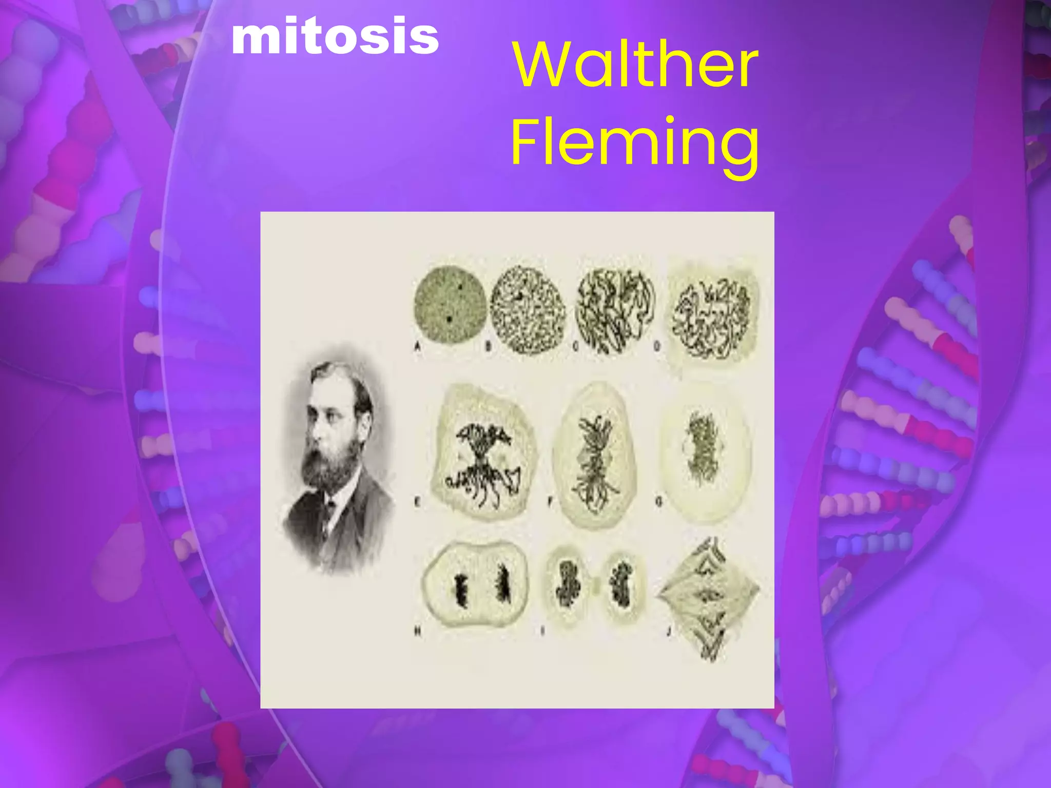 Dna history | PDF