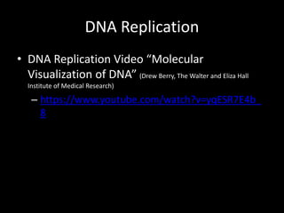 Dna history and replication | PPTX