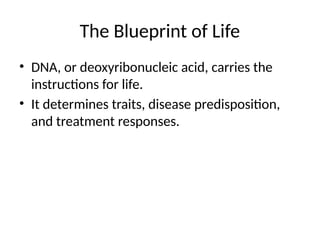 DNA_Impact_Presentation_No_Images.pptxpptx | PPT