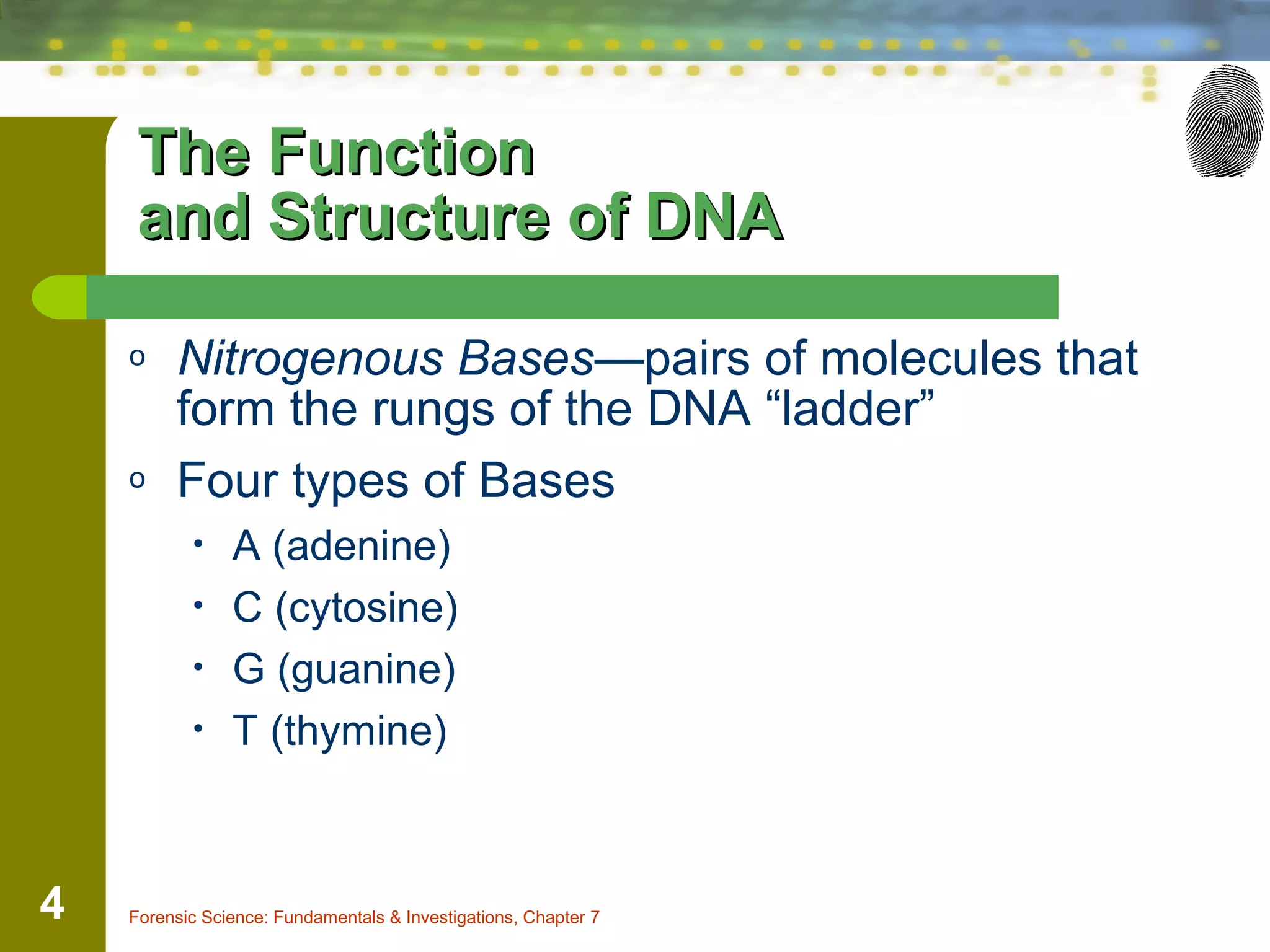 Dna in forensics | PPT