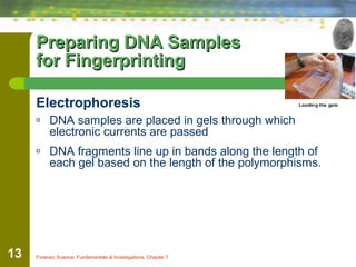 Dna in forensics | PPT