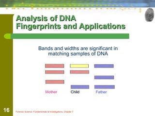Dna in forensics | PPT
