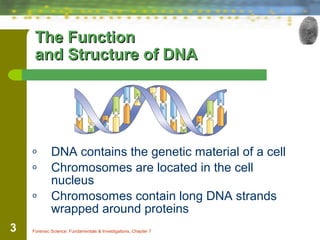 Dna in forensics | PPT
