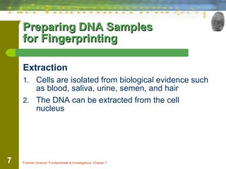 Dna in forensics | PPT