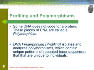 Dna in forensics | PPT