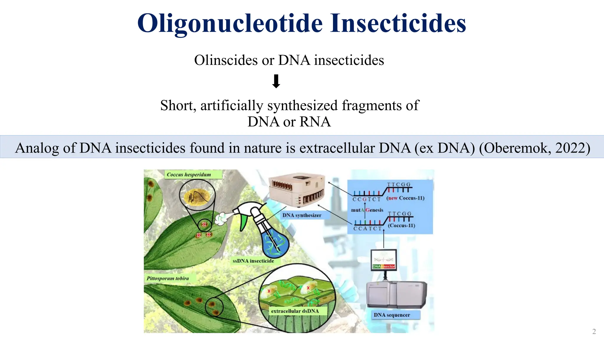 DNA insecticides- Use in Insect pest management, Advantages and ...