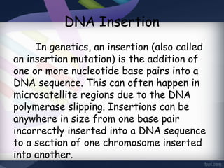 DNA insertion | PPT